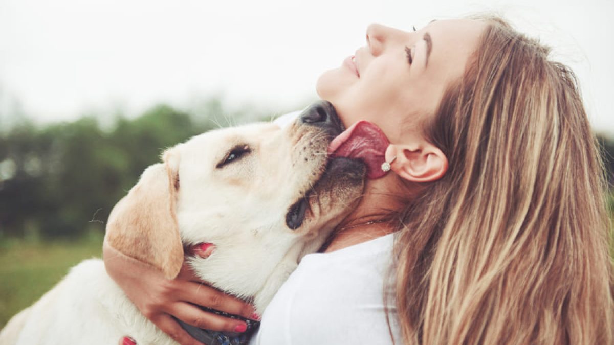 Por Que Mi Perro Me Quiere Tanto