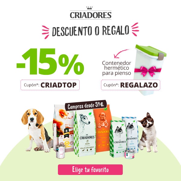 10 buenas razones para tener un perro - Tiendanimal