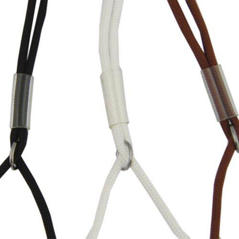 Lazos de exposición con banda de seda LAZO EXPO BANDA SEDA ROJA ...