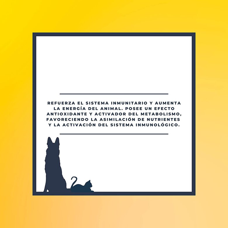 Suplemento Energético para Perros y Gatos - Energy Premium 250 ml ...