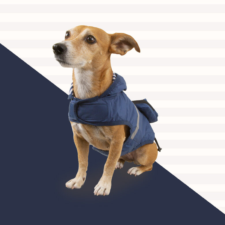 Outech Impermeable con Bolsillo Azul Marino para perros | Tiendanimal
