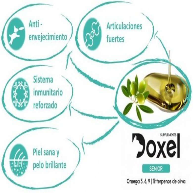 Aceite Omegas 3,6,9 Doxel Senior antiinflamatorio articulaciones sabor ...