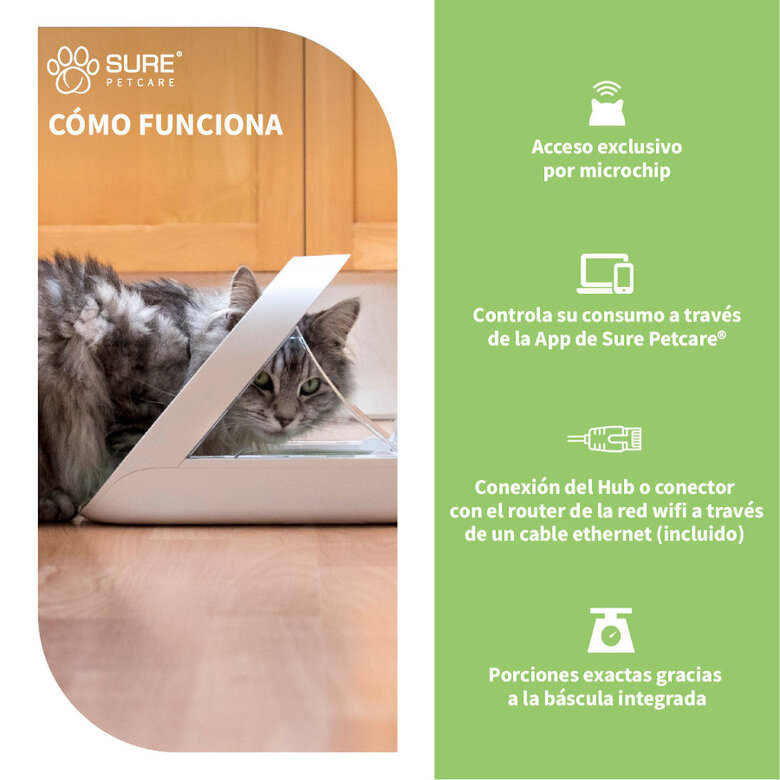 Sure Petcare Surefeed Comedero Automático con Microchip Connect para ...