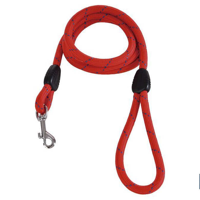 Set de Accesorios para Perros | Caja con 7 elementos | Accesorios ...