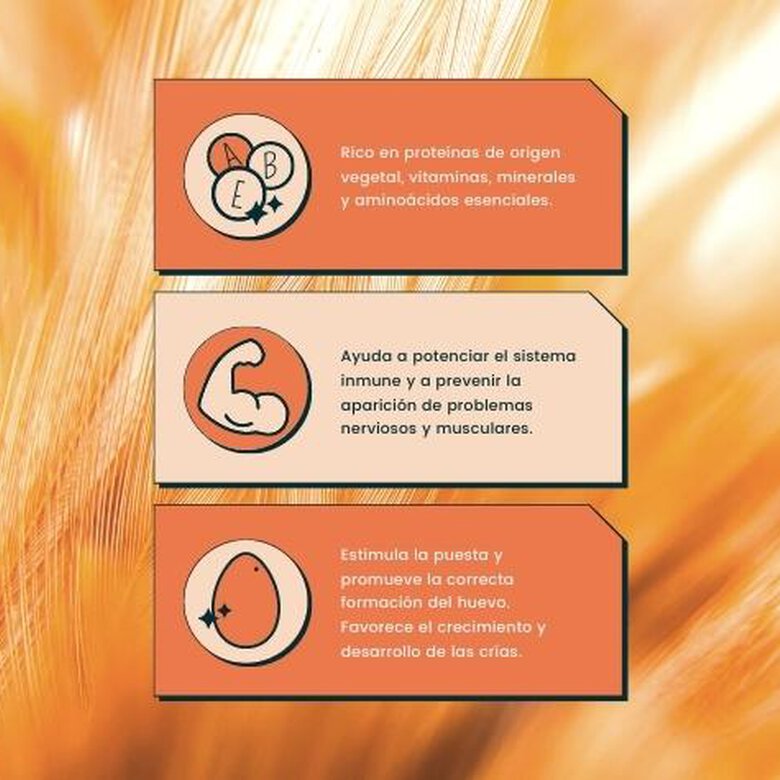 Vitamínico para Cría y Reproducción de Las Gallinas y Otras Aves de Corral 1 L- Recomendable ...