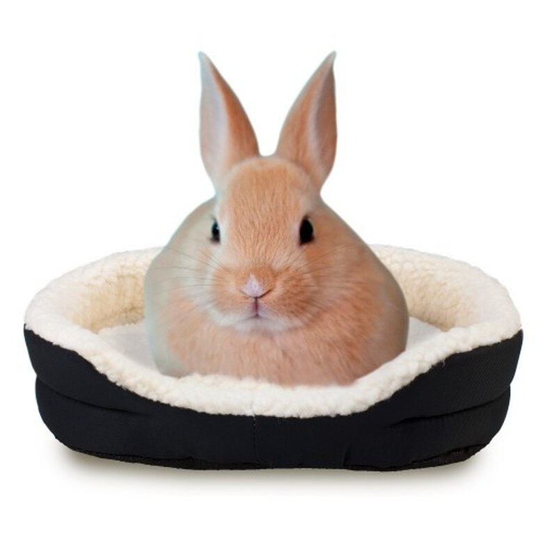 Cuna para conejos color Azul | Tiendanimal