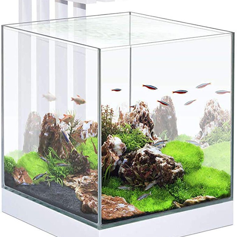 Acuario Nexus Pure Cube 25 - Set Completo 22 litros con LED, Filtro ...