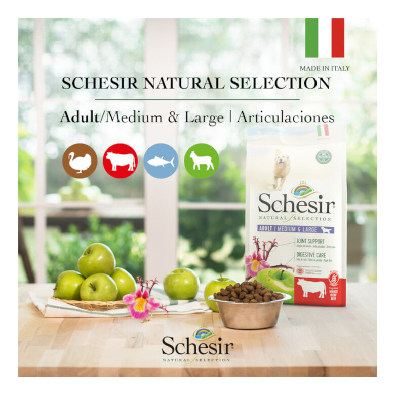 Schesir Adult Medium&Large Natural Selection Pavo pienso para perros | Tiendanimal