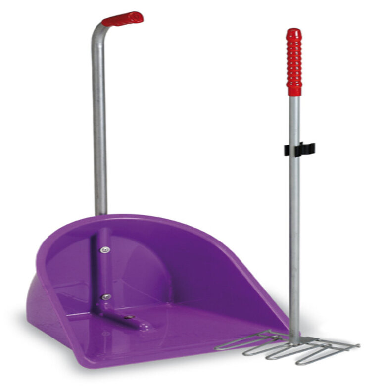 Recogedor con rastrillo plástico | Tiendanimal