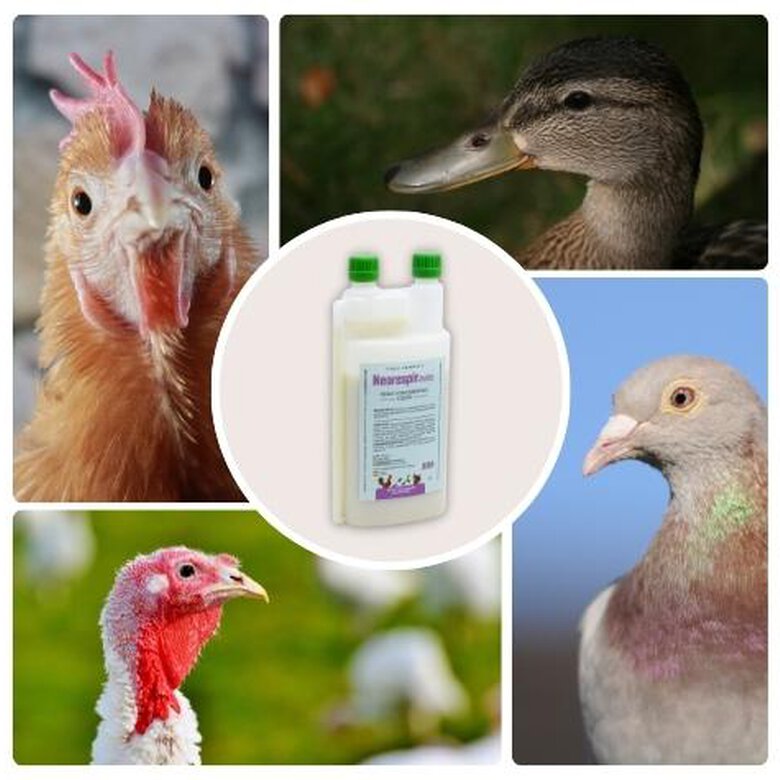 Neorespir 1 L - Expectorante Preventivo de Las Patologías Respiratorias En Aves de Corral ...