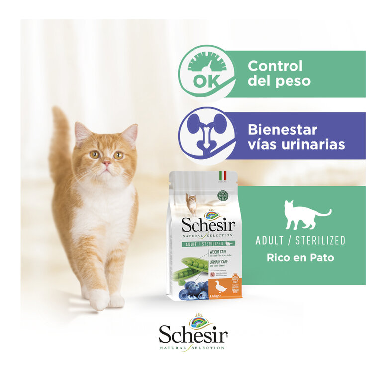 Schesir Natural Selection Sterilized Pato pienso para gatos | Tiendanimal