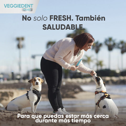 Virbac Snacks Dentales VeggieDent Fresh para perros Toy