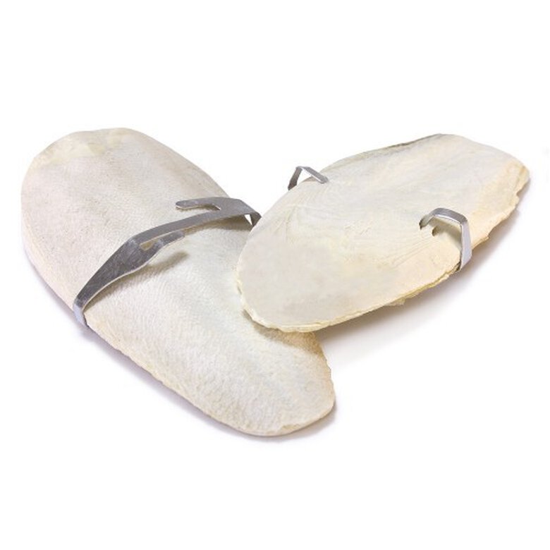 Hueso de jibia retractilado sabor Neutro | Tiendanimal