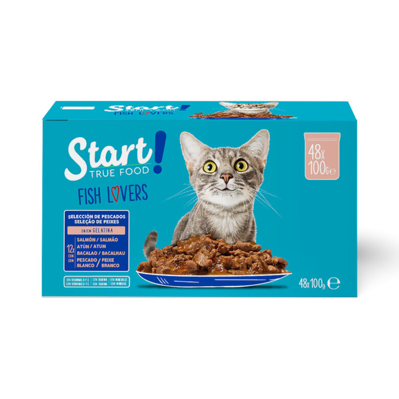 Start Cat Selección de Pescados sobres en gelatina para gatos ...
