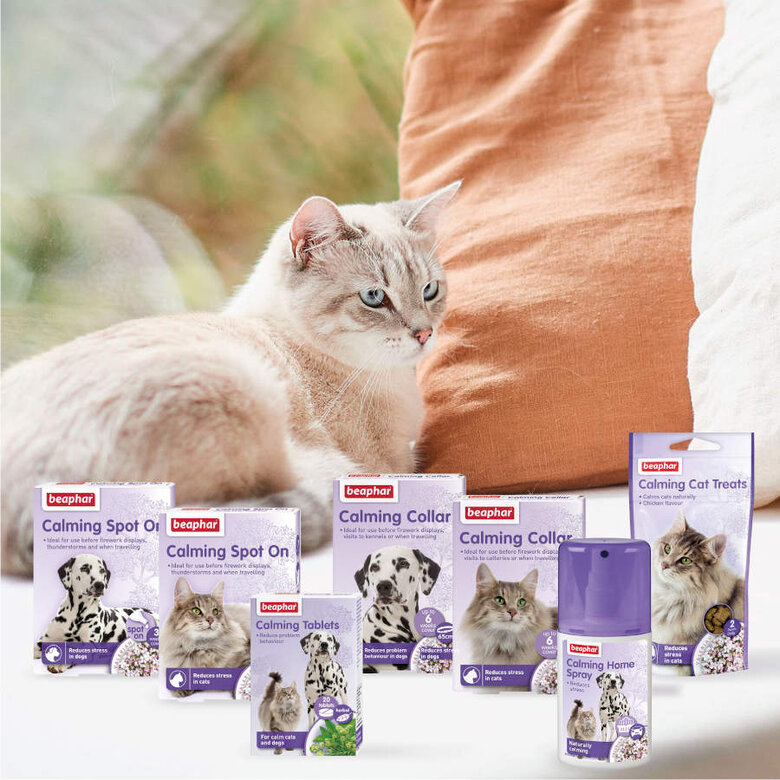 Beaphar Calming Spray Ambiente Relajante para gatos y perros | Tiendanimal