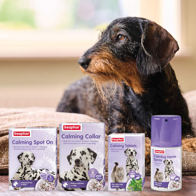Pipetas relajantes Calming Spot On para perros | Tiendanimal