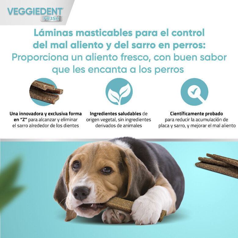 Virbac Snacks Dentales Veggiedent Fresh para perros de raza mediana ...