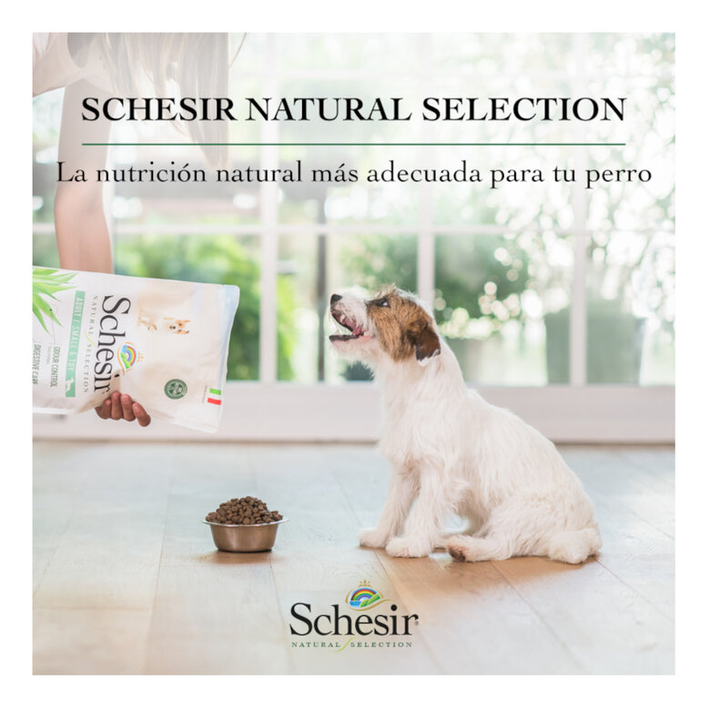 Schesir Adult Small&Toy Natural Selection Pavo pienso para perros | Tiendanimal