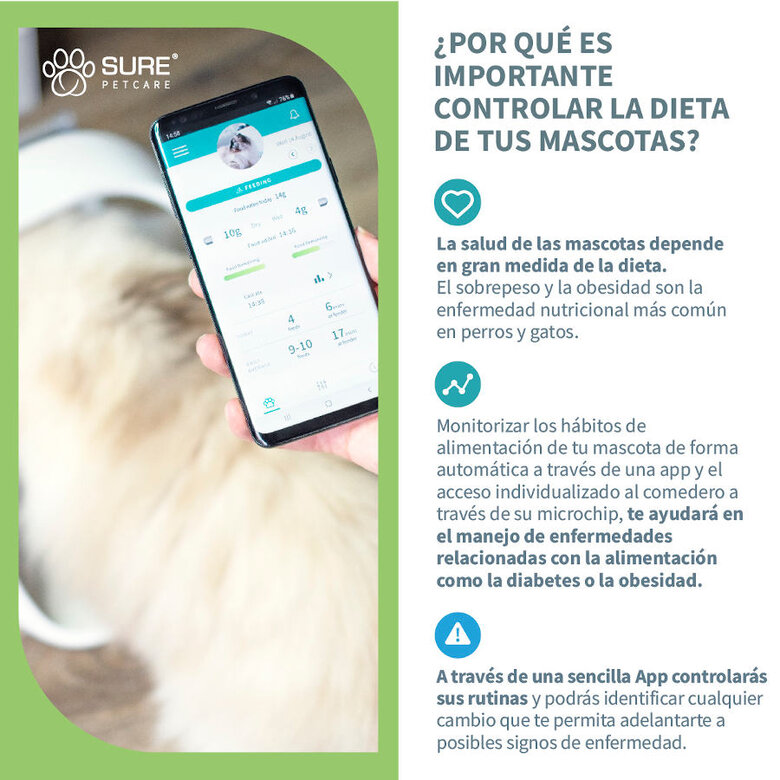 Sure Petcare Surefeed Comedero Automático con Microchip Connect para ...