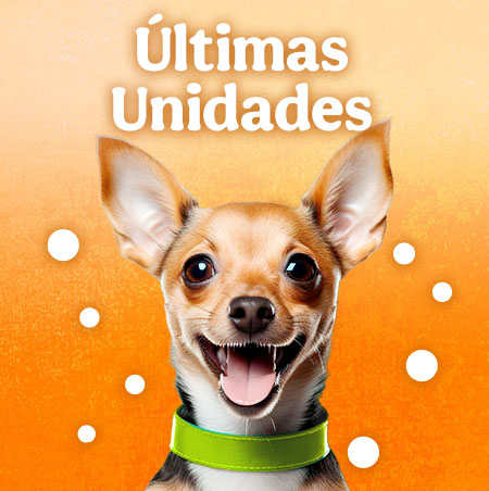 Perros | Tiendanimal